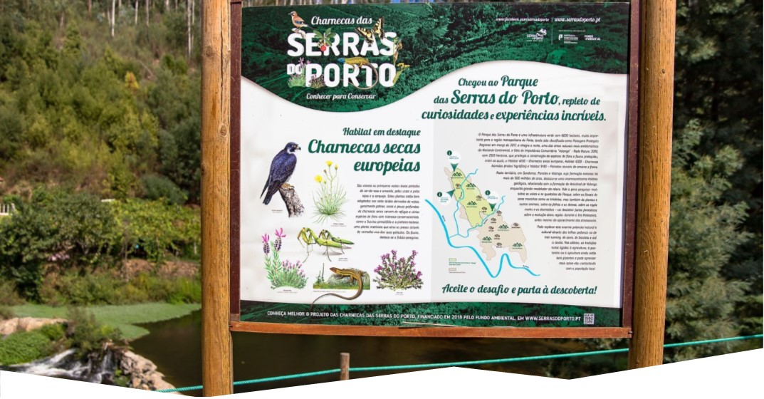 Parque das Serras do Porto terá a partir de hoje câmaras óticas para ...